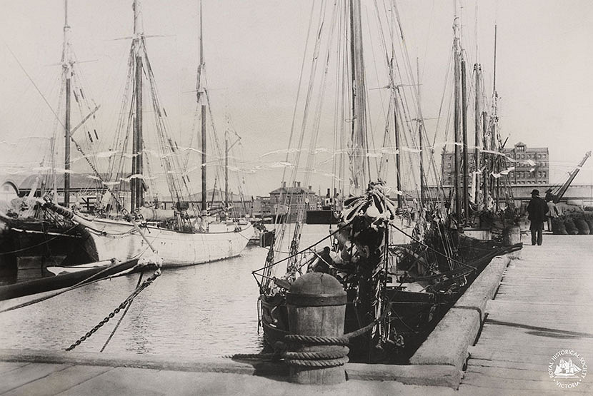 Arts & Culture | Docklands News